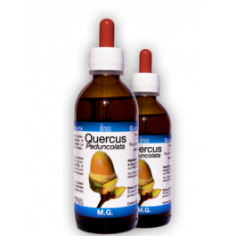 Quercus Peduncolata Mg 150 Ml | Più Medical