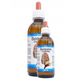 Sequoia Gigantea Mg 150 Ml | Più Medical
