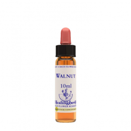 Walnut Bach Flower Remedy Healing Herbs 10 Ml | Più Medical